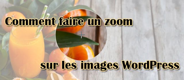 Comment faire un zoom sur les images WordPress? - Blog Infos