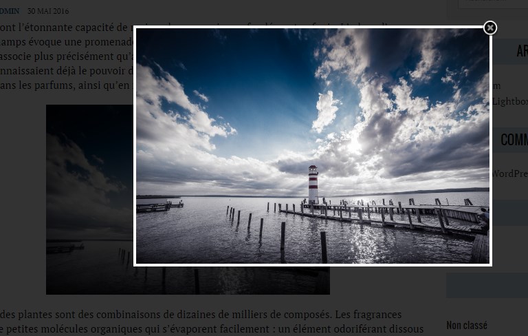 Comment faire un zoom sur les images WordPress? - Blog Infos